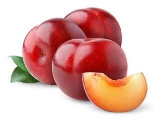 China Yongyuan Natural Fruit Extract Plum Extract,Preserved Plum Extract for sale