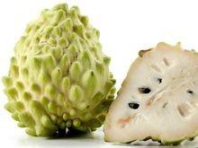 China Yongyuan Natural Fruit Extract Graviola Extract for sale