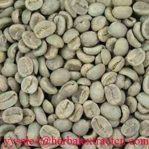 China Green Coffee Bean Extract herbal extract  powder for sale