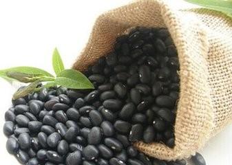 China Black Bean Extract for sale