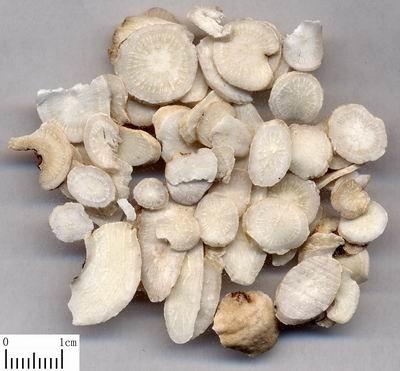 China Hot Paeoniflorin/Peony Extract/white peony root extract/Paeonia Lactiflora Pall Extract for sale