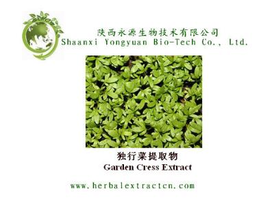China Medical herbal 10:1 TLC Garden Cress Extract, Lepidium Sativum Extract,Lepidium Extract for sale