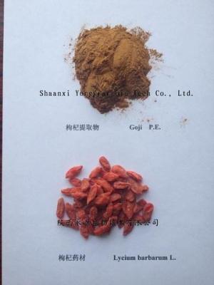 China Chinese Wolfberry P.E for sale