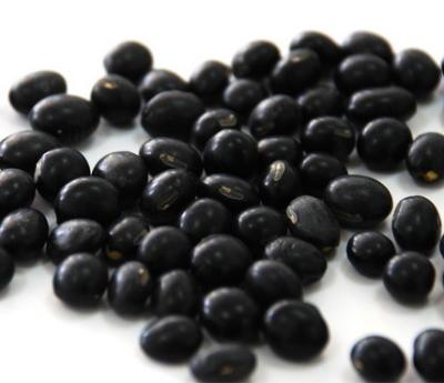China Factory Supply Organic 100% Natural and Healthy Black Bean Hull Extract Powder for sale