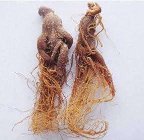 China Factory Supply Good price Red Ginseng Extract 5%-80% UV for sale