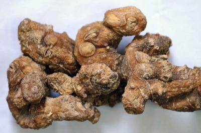 China High Quality Solomon's Seal Extract / Huang Jing Extract / Polygonatum Multiflorum Extract for sale