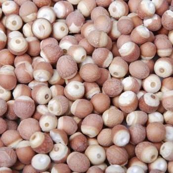 China High Quality Natural Plant Semen Euryales Extract 10:1 Gorgon fruit extract powder for sale