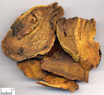 China Chinese Rhubarb Root P.E./Rheum Palmatum/Rhodiola Rosea P.E Extract for sale