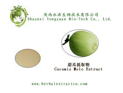 China 10:1 Cucumis Melo Extract/ Muskmelon Extract/Cucumis Melo Inodorus Fruit Extract for sale