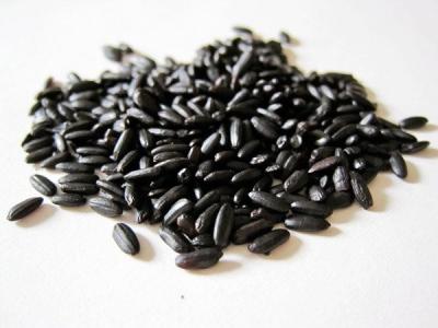 China Natural Plant extract Black rice Extract, Black Millet Extract for sale