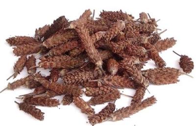 China Organic plant MedicinePrunella Vulgaris Extract/ Selfheal Spike Extract 4:1 10:1 for sale