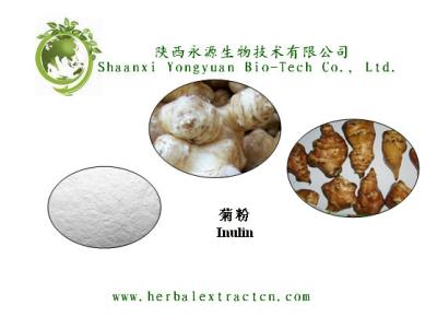 China Yongyuan supply New Chicory Root extract, Helianthus Tuberosus Extract,Inulin for sale