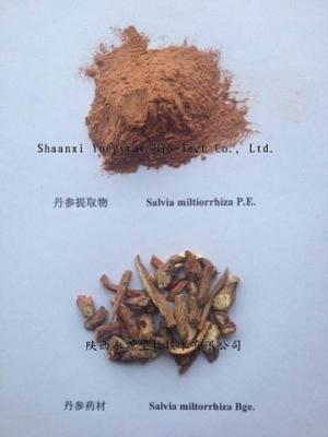 China Yongyuan Selling High Quality Salvi Root P.E. or Dan shen P.E. powder wholesale for sale