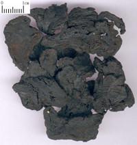 China High Quality Natural Shu Di Huang Natural Prepared Radix Rehmanniae Extract for sale