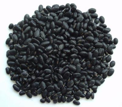China low price supply high quality Semen Sesami Nigrum powder Sesamin Extract for sale