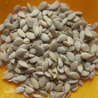 China Chinese Waxgourd Seed Extract Powder, Chinese Waxgourd Semen Extract 10:1 TLC for sale