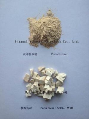 China Indian Buead Extract / Poria cocos extract polysaccharide 30%-60% UV for sale