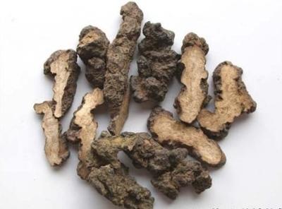 China Polysaccharides 30%,3:1 Polyporus Umbellatus Extract, Chuling Sclerotium Extract for sale