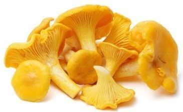 China Wholesale Hebal Extract polysaccharides 30% Chanterelle P.E. Chanterelle Extract for sale
