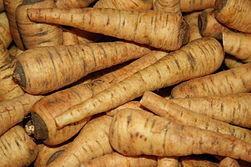 China natural hebal raw material high quality 10:1 Parsnip Root Extract powder for sale