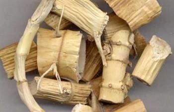 China High quality Chinese herb Rhizoma Phragmitis Extract,Rhizoma Phragmitis Extract 10:1 TLC for sale