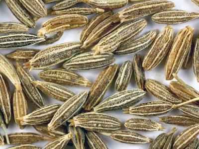 China hot sell Cuminum cyminum extract, cumin extract, Cumin Seeds Extract, Black Cumin Extract for sale