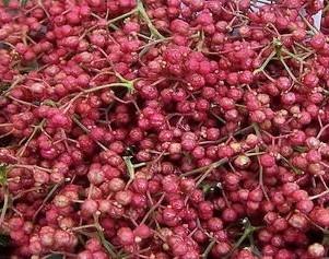 China Zanthoxylum Schinifolium Extract Powder,Zanthoxylum bungeanum extract,Prickly Ash Bark P.E for sale