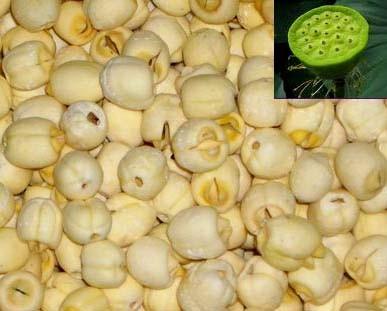 China Best Sell 10:1 TLC Lotus seed Extract/Semen Nelumbinis Extract for sale