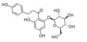 China 100% Natural High Quality 98%HPLC factory supply Phlorizin for sale