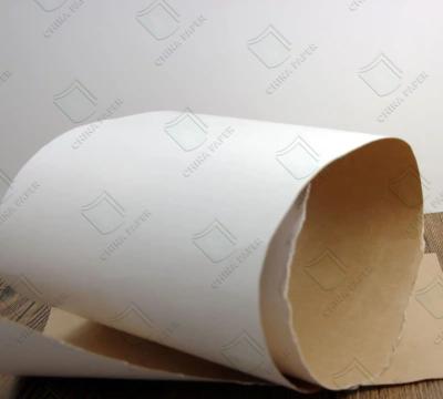 Cina 300GSM Imballaggio liquido Carta imballaggio alimentare Kraft Back LPB per succo di latte in vendita