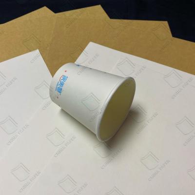 China China Fábrica PE revestido de papel de taça de alta qualidade Cupstock Base de papel em rolo for sale
