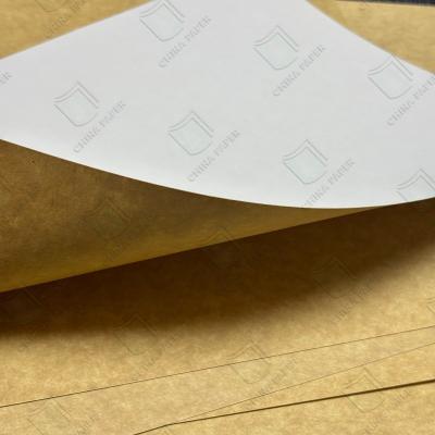 Cina 300G liquido cartone da imballaggio retro marrone Tetra Pak per cartoni di bevande in vendita