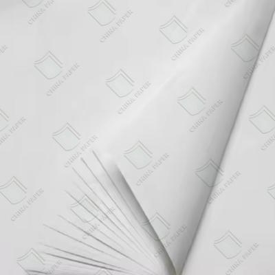 Cina 28 gm-60 gm Cargamento carta di Bibbia sottile, carta da stampa e carta di dizionario in vendita