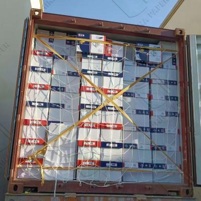 Cina Carta per ufficio aziendale 70GSM / 75GSM / 80GSM Carta di copia bianca A4 in vendita