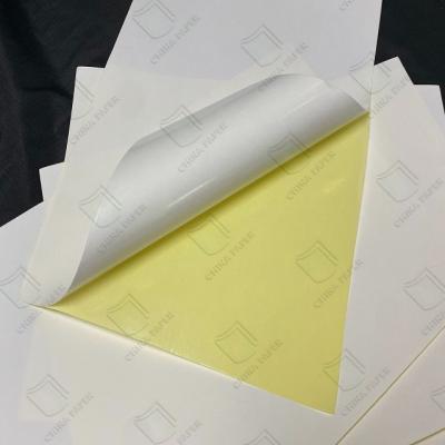 China Adhesive Sticker For Printing Labels 60um PP White Label With Permanent Adhesive for sale