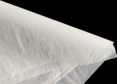 Cina Carta tissutale multifunzionale oltre la pulizia per applicazioni sicure per gli alimenti in vendita