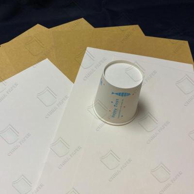 Cina Carta rivestita in PE biodegradabile per la produzione sostenibile di tazze in vendita