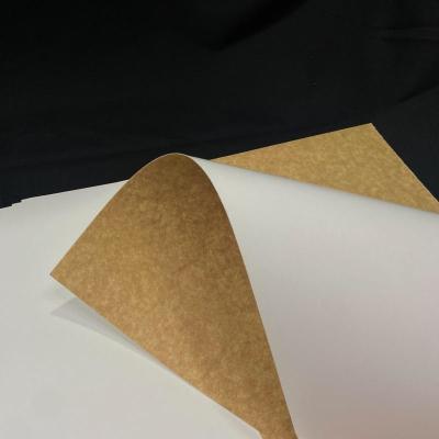 Cina Contenitori alimentari in carta kraft rivestita biodegradabile Sostanza da 190 a 350 gm in vendita