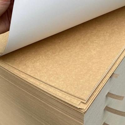 China Eco Conscious Disposable Coated Kraft Paper From FSC Certified China Paper Factory for sale