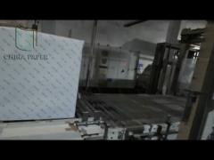 Papel de taça laminado em PE ecológico Certificado pela FDA para recipientes de bebidas quentes / frias