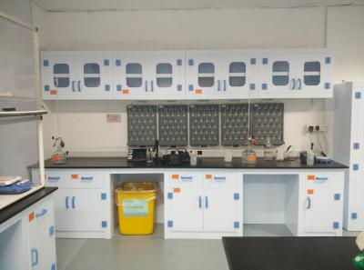 Cina Il laboratorio della biochimica presenta il banco da lavoro del lato della parete dei banchi da lavoro pp in vendita