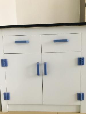 Cina Il laboratorio della biochimica presenta il banco da lavoro del lato della parete dei banchi da lavoro pp in vendita