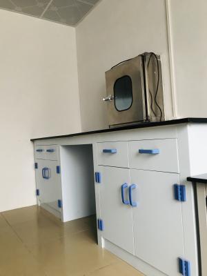 Cina Il laboratorio della biochimica presenta il banco da lavoro del lato della parete dei banchi da lavoro pp in vendita
