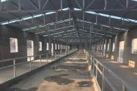 Quality ISO1461 Steel Structure Poultry House 50 - 100mm Panel Steel Cattle Buildings for sale