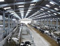 Quality Corrosion Resistant Steel Structure Poultry House 8 - 30 Meters Steel Farm for sale