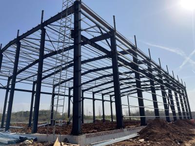 China School Stadium Prefabricated Steel Buildings Flat Pack Container Homes for sale