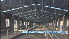Galvanized Poultry Steel Structure for Better Farms