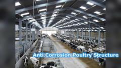 Poultry Steel Structure Anti Corrosion Ventilation