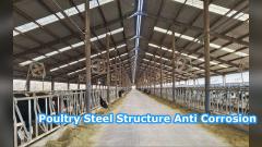 Poultry Steel Structure Ventilation Anti-Corrosion