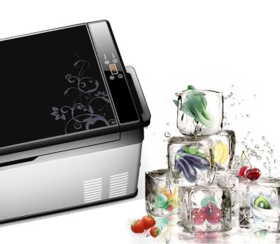 Cina Il CE ha certificato il frigorifero 12V del dispositivo di raffreddamento dell'automobile elettrica per il campeggio/barbecue/pesca in vendita
